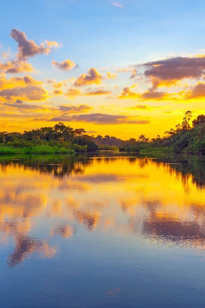 6 Best Forest Resorts Around The World » The Wander Bucket