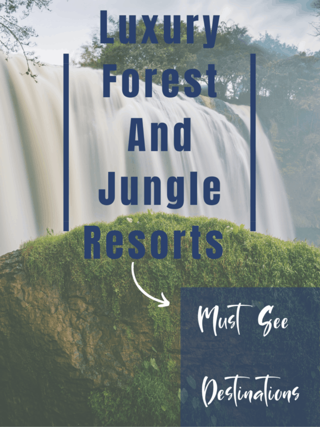 6 Best Forest Resorts Around the World STORY » The Wander Bucket